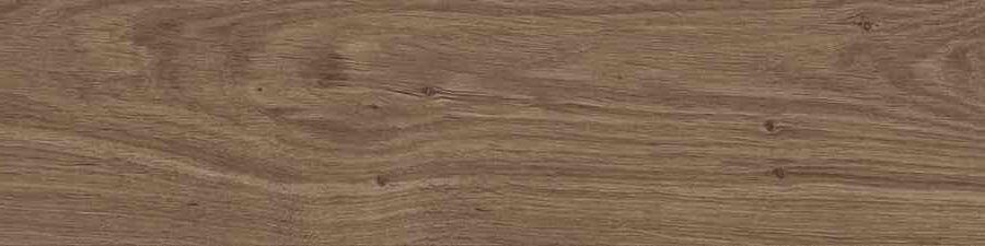 Dublin Brown płytka gresowa mat 15,5x62 Gat. 1, 5907641447162 | Dublin ...